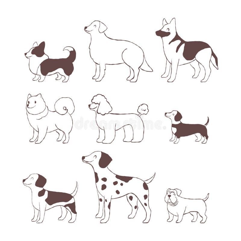 Dogs of Different Breeds. Set of Hand-drawn Puppies Stock Illustration ...