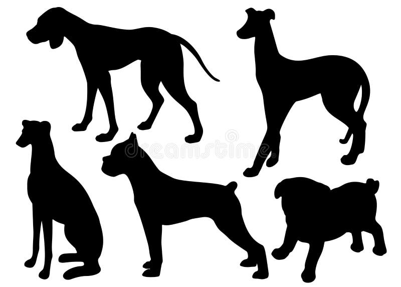 Dogs in Different Poses in the Set. Stock Vector - Illustration of ...