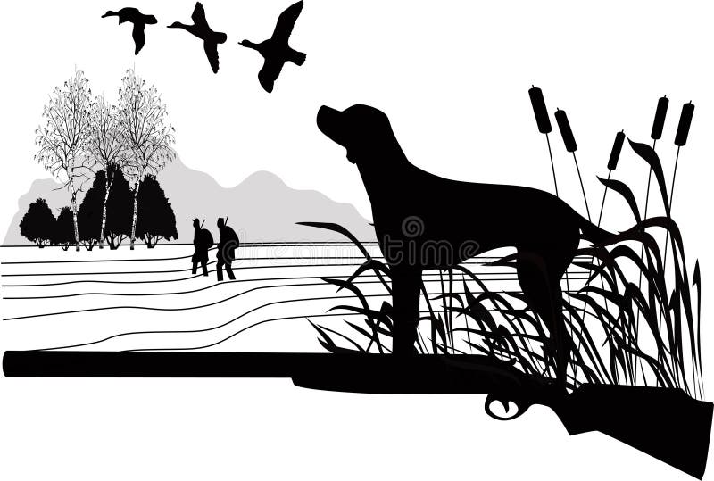 Dogs of a duck hunting stock vector. Illustration of landscape - 34413993
