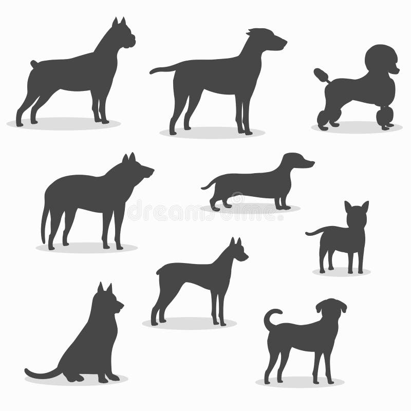 Dogs Icons Set of Different Breeds Stock Vector - Illustration of ...