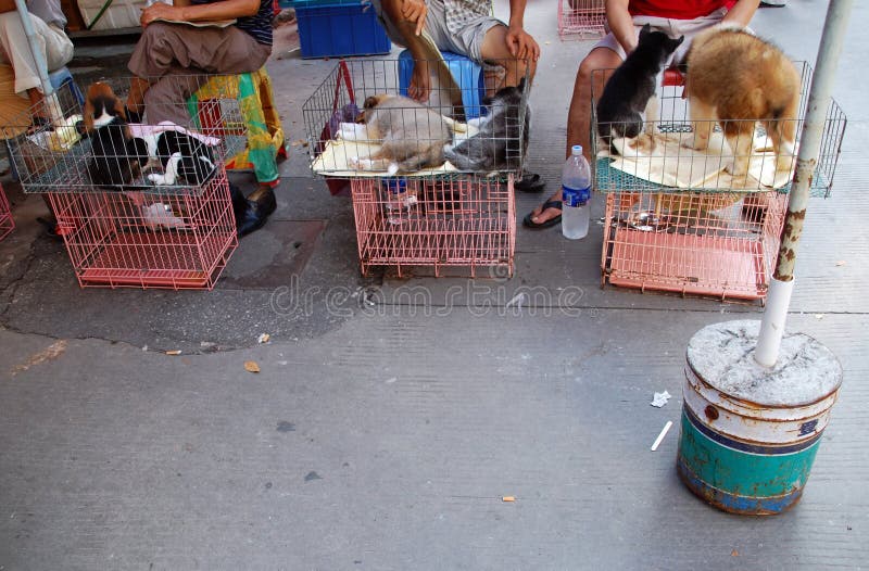 Dogs for Lunch stock image. Image of hard, delicious - 10961275