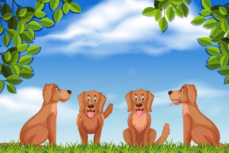 Dogs in nature scene stock photo. Image of clouds, cute - 153779236