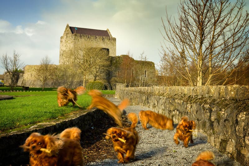 Dogs Playing in the Castle Grounds,Collage Stock Illustration ...