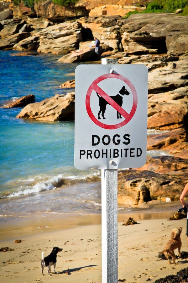 Dogs prohibited stock image. Image of pets, regulation - 19634187