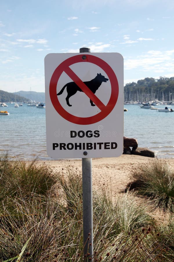 Dogs prohibited signage stock image. Image of signs, daylight - 70353699