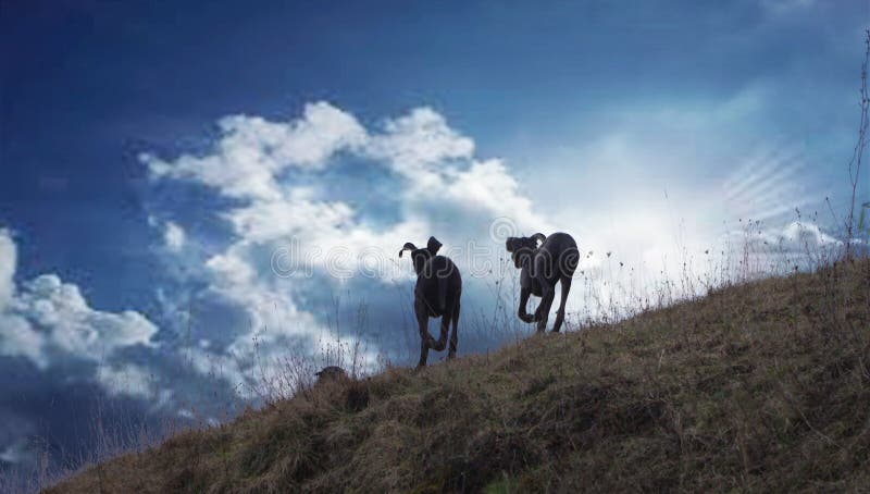 Horizon Running To Mountains Stock Photo - Image of landscapes ...