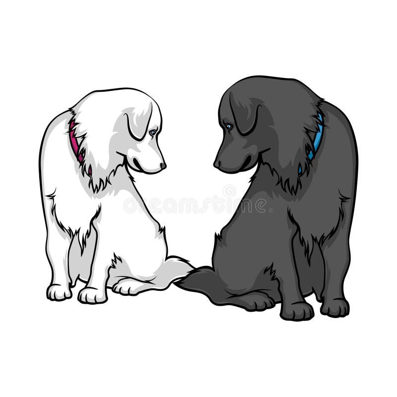 Labradors Stock Illustrations – 440 Labradors Stock Illustrations ...