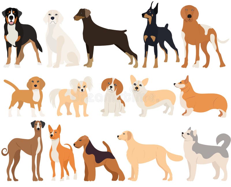 Dogs Set, Collection in Flat Design Isolated Stock Vector ...