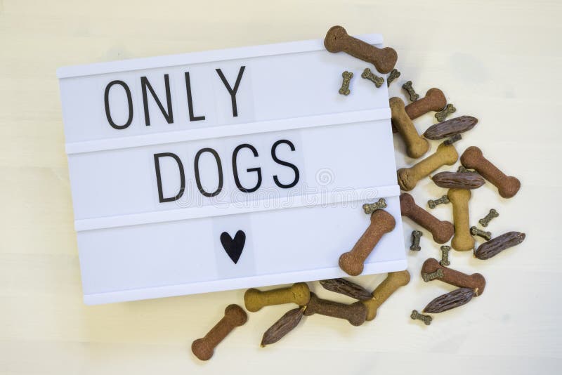 Only Dogs Written on a Lightbox Stock Image - Image of concept, table ...