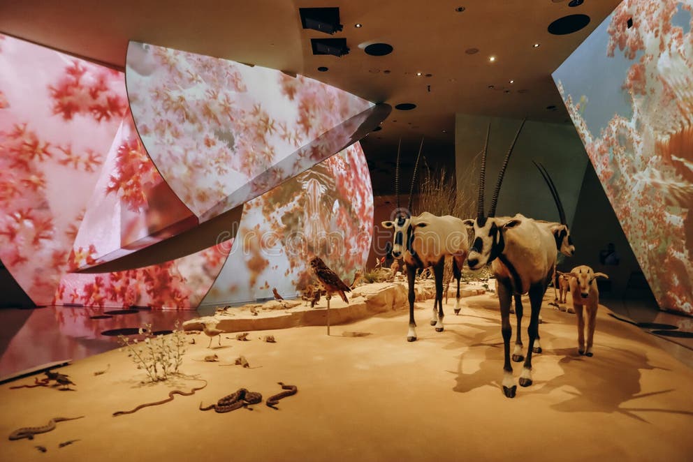 Inside the Qatar History Museum in Doha Editorial Stock Photo - Image ...