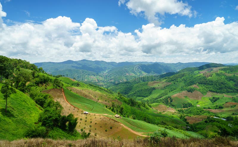 Beautiful Mountain At Doi Chang ,Chiang Rai Stock Image - Image of ...