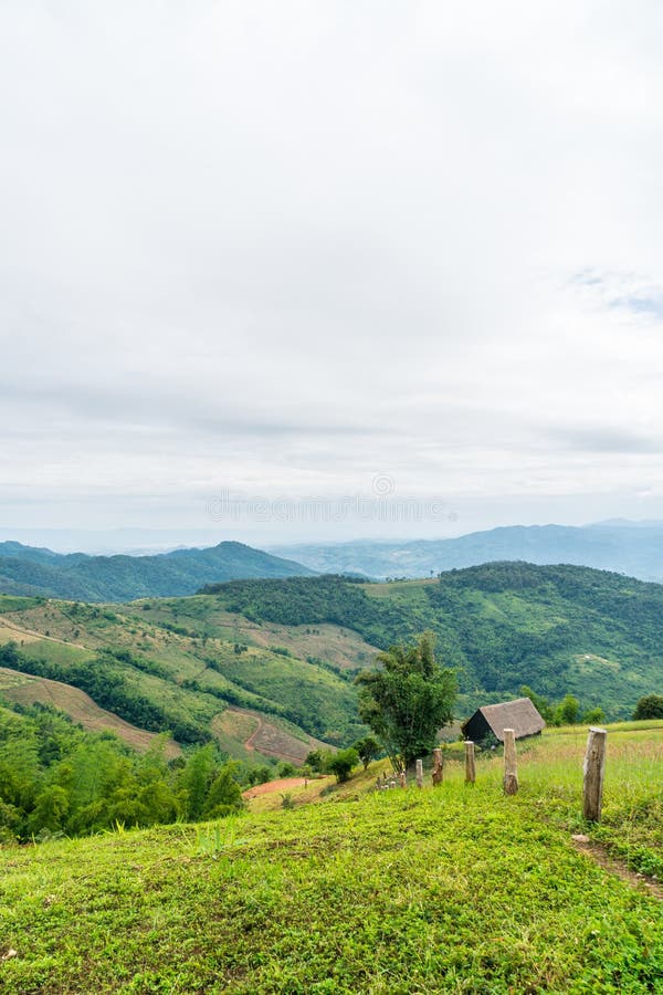 Doi Chang Mountain Hill at Chiang Mai in Thailand Stock Image - Image ...