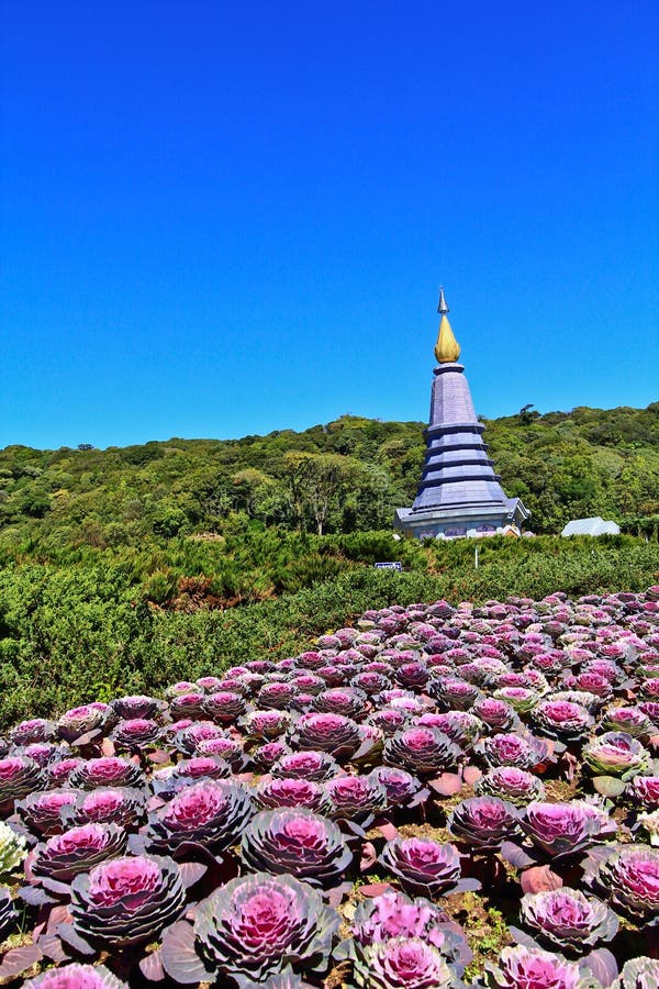 Doi Inthanon stock photo. Image of design, inthanon, asia - 29280360