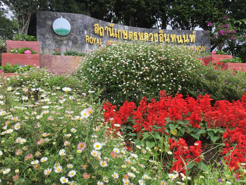 Doi inthanon editorial image. Image of inthanon, thailand - 73075835