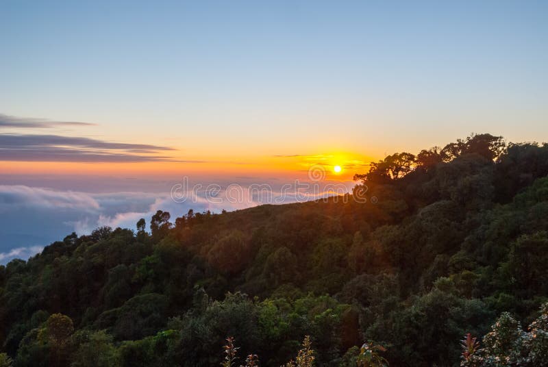 Doi Inthanon Mountains, Thailand Stock Photo - Image of forest, chiang ...