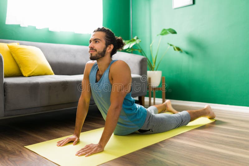 Relaxed Cobra Snake Stock Photos - Free & Royalty-Free Stock Photos ...