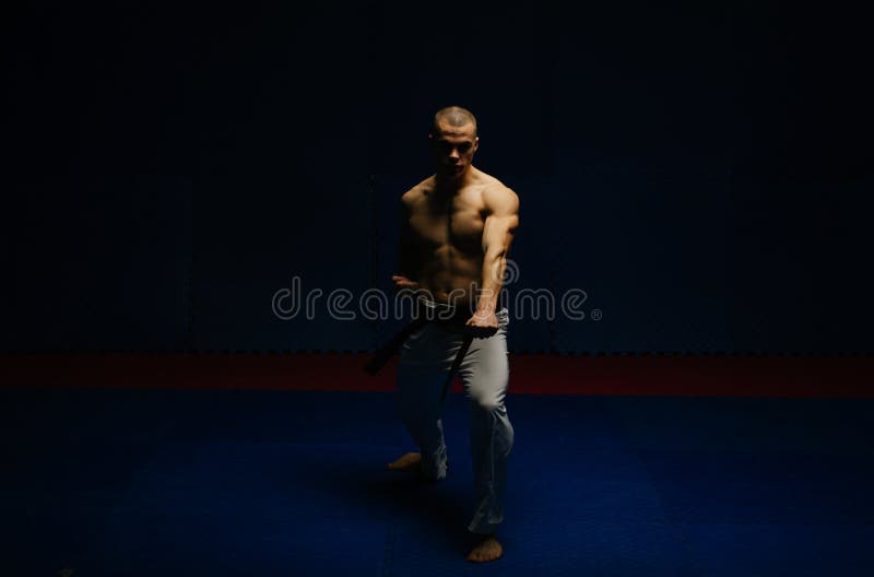 Doing the Gedan Barai stock photo. Image of kimono, health - 295958070