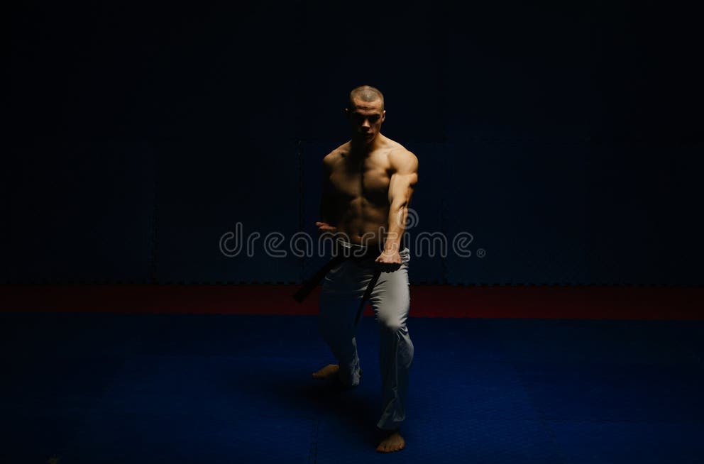 Doing the Gedan Barai stock photo. Image of kimono, health - 295958070