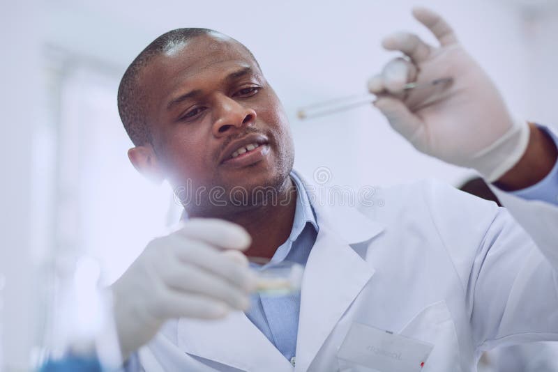 Serious Skilled Bioengineer Doing a Test with Seeds Stock Photo - Image ...