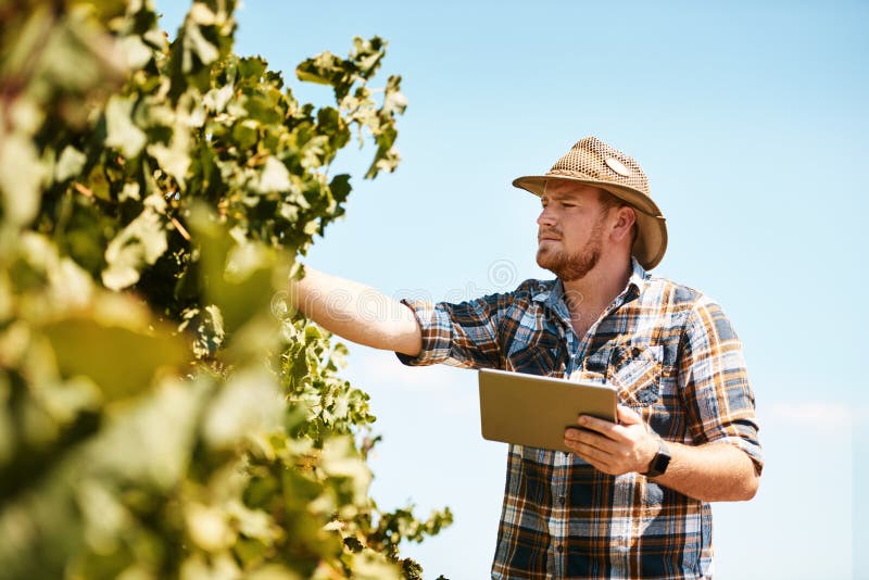 Doing His Quality Control Assessments with the Help of Technology. a ...