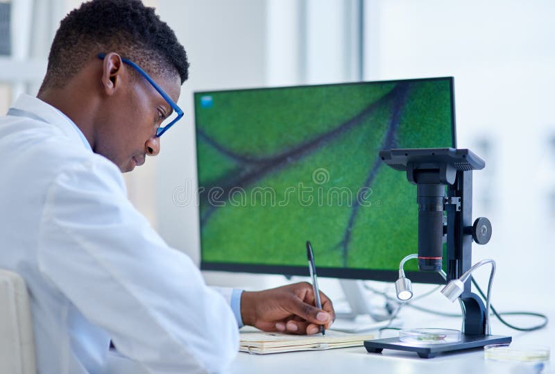 Doing a Whole Lot of Research. a Focused Young Male Scientist Making ...