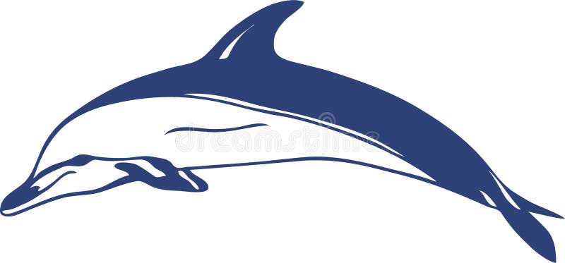 Dolfijn vector illustratie. Illustration of zwemmen, onderwater - 12988856