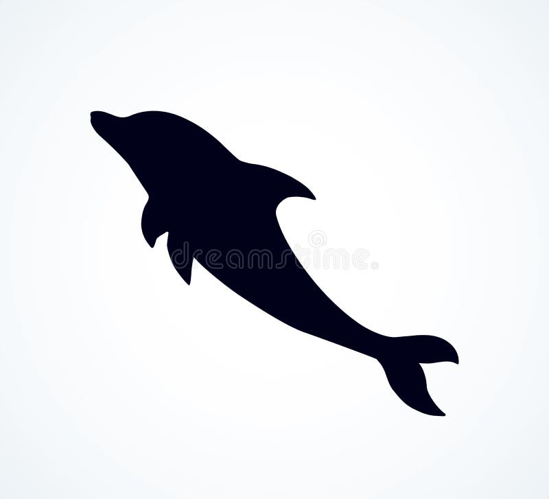 Dolfijn Vector tekening vector illustratie. Illustration of blauw ...