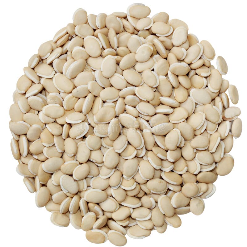 Dolichos Lablab Hyacinth Beans Stock Image - Image of closeup, haricot ...