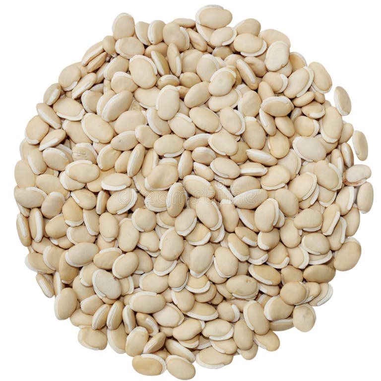 Dolichos Lablab Hyacinth Beans Stock Image - Image of closeup, haricot ...