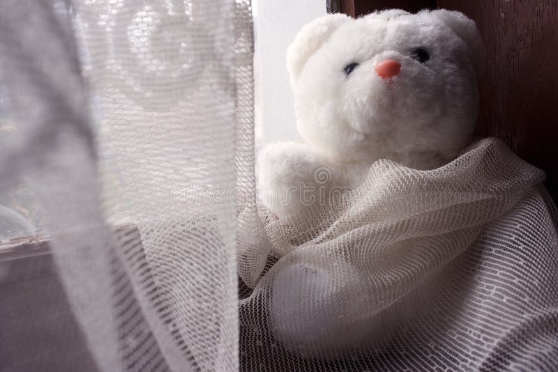 Doll bear on window stock photo. Image of window, love - 212456914