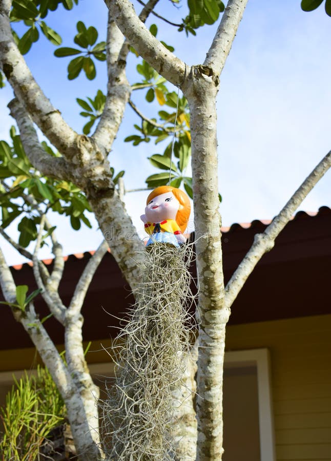 A doll hanging on a tree. stock image. Image of decoration - 233073339