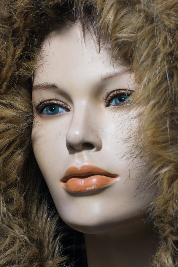 Doll portrait stock photo. Image of woman, manequin, portrait - 70523080