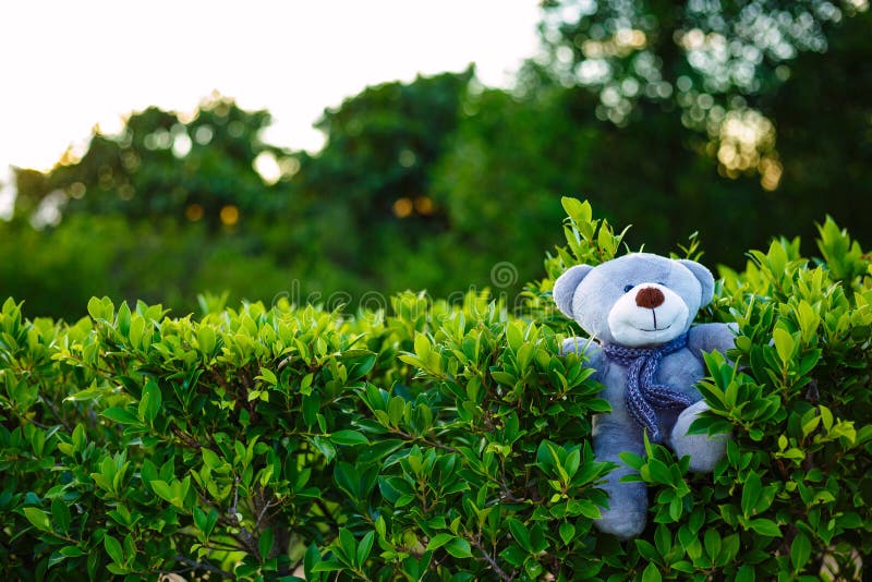 Doll is on the tree fence. stock image. Image of flower - 127965597