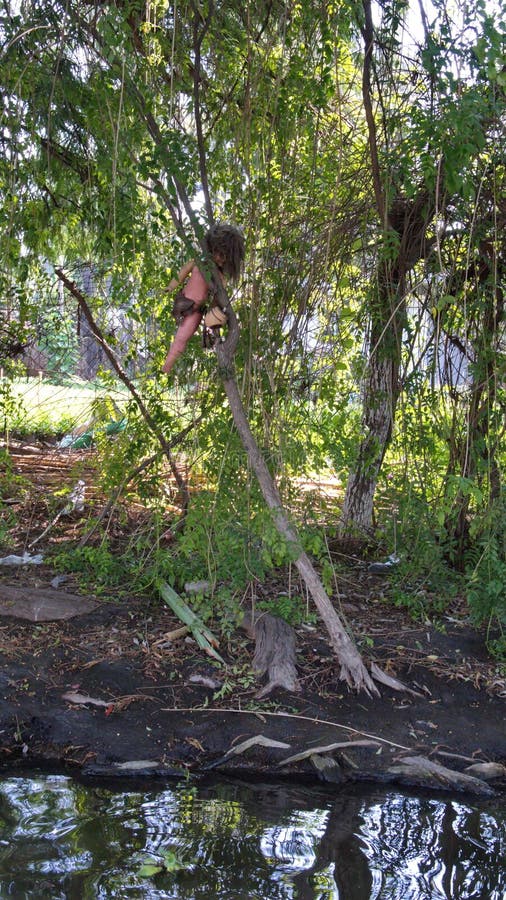 Doll in a Tree in Xochimilco Stock Image - Image of unesco, tree: 275766029