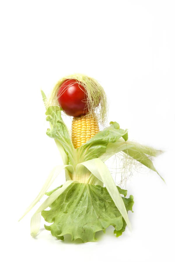 Doll from vegetables. stock image. Image of salad, body - 20622321