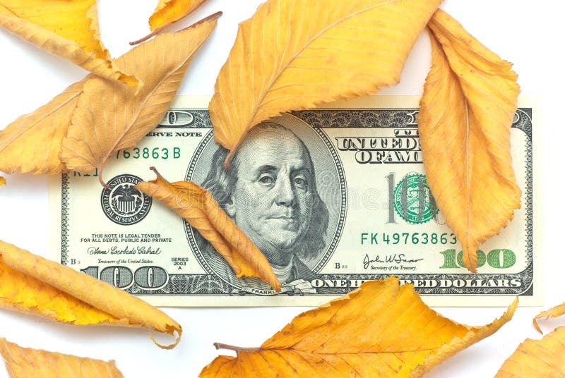 Dollar in autumn leafs stock photo. Image of design, currencies - 16690842