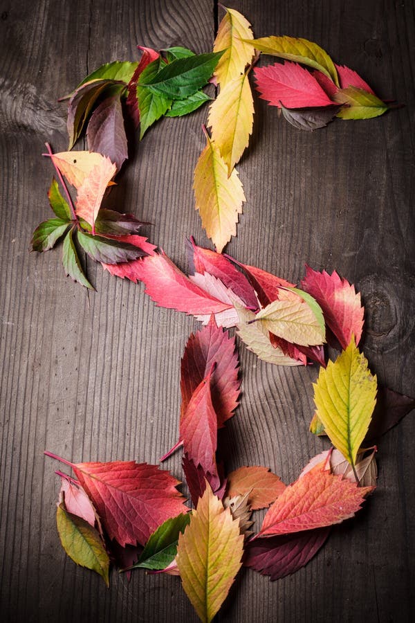 Dollar sign stock photo. Image of exchange, banknote - 25182588