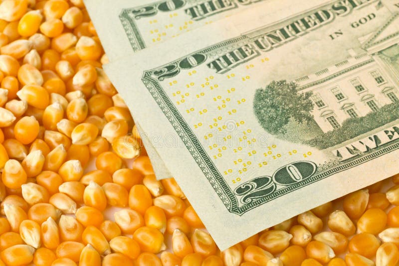 410 Background Corn Money Seed Stock Photos - Free & Royalty-Free Stock ...