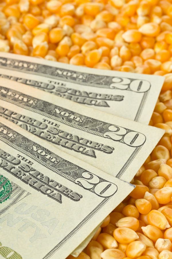 410 Background Corn Money Seed Stock Photos - Free & Royalty-Free Stock ...