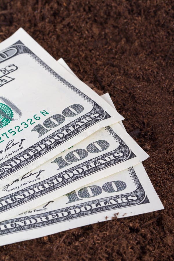 Dollar Banknotes on Soil stock image. Image of grass - 34840333