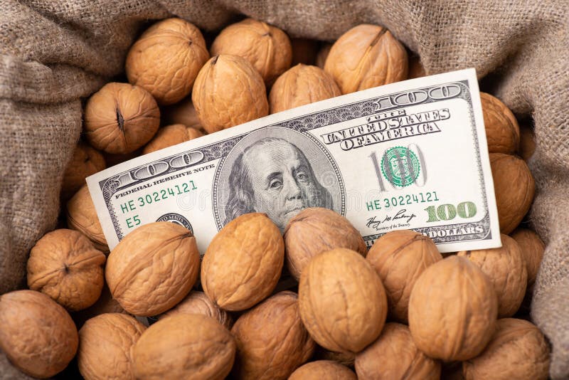 Growing Precious Nuts Stock Photos - Free & Royalty-Free Stock Photos ...