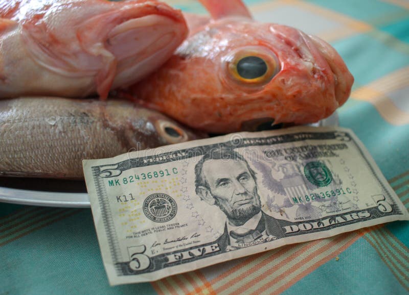 Dollar Bill Table Fish Stock Photos - Free & Royalty-Free Stock Photos ...