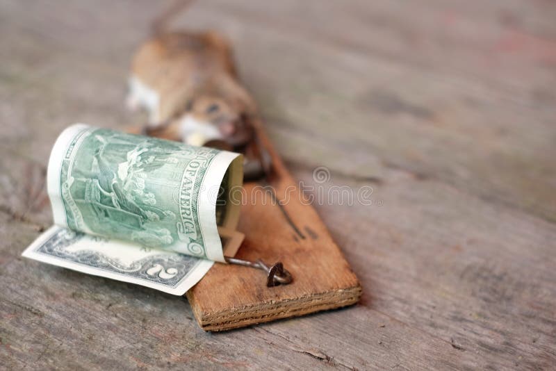 Dollar and Mouse Trapped stock photo. Image of shallow - 97516562
