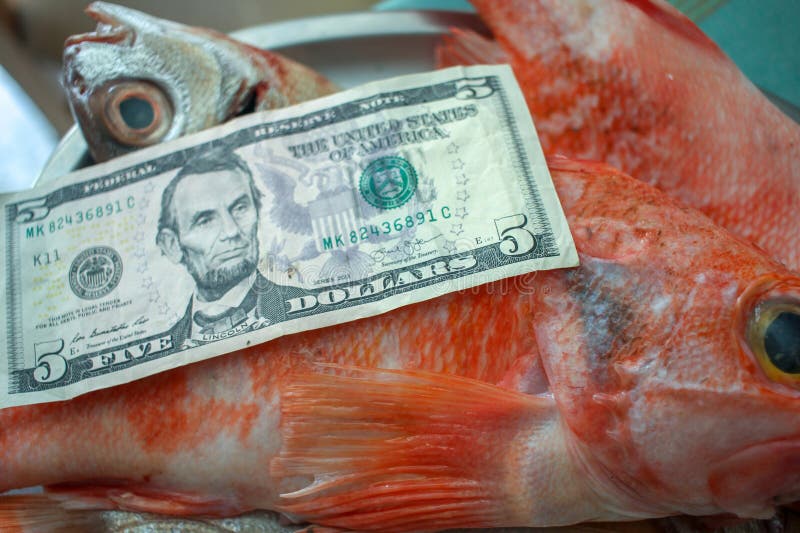 Dollar Note and Fish on a Tray Stock Image - Image of bream, price ...