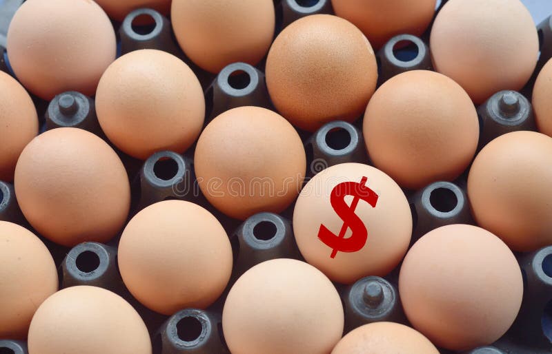 Dollar sign with eggs stock image. Image of eggbox, isolation - 25370793