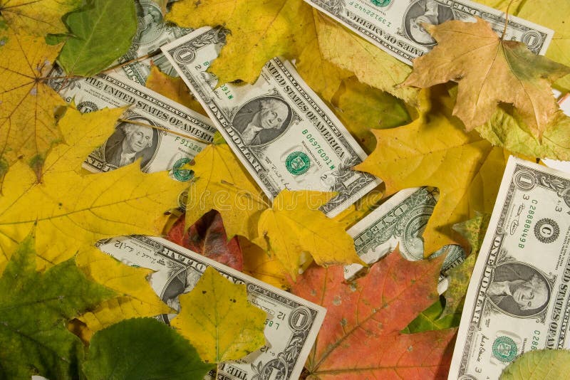 Dollars Covered with Autumn Leaves Stock Image - Image of money ...