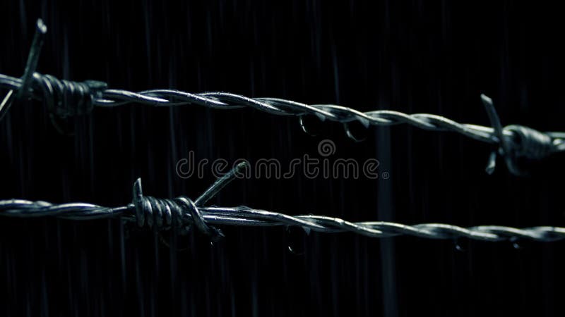 Security Barbed Wire by Wall Moving Shot Stock Footage - Video of ...