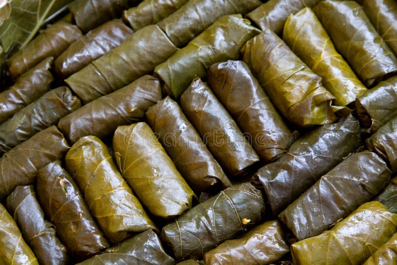 Dolma stock image. Image of minced, dish, dolma, sarma - 12415147