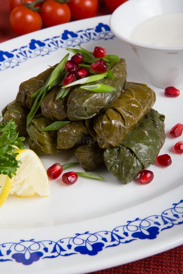 Dolma served with leek stock photo. Image of meal, arabic - 71962512