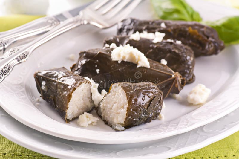 Dolma stueed with feta stock photo. Image of cousine - 23276578